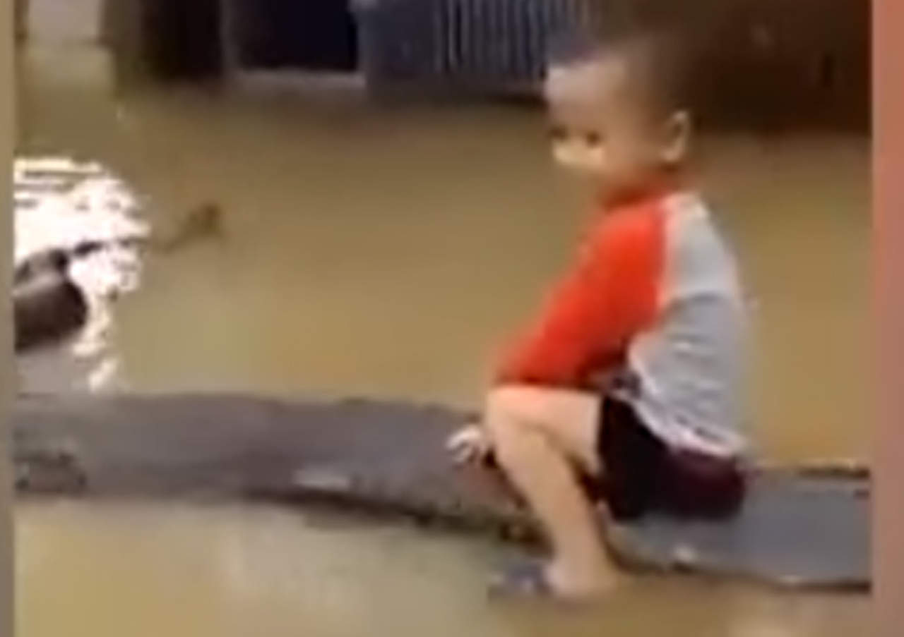 Menor de 3 años es captado jugando con pitón de seis metros