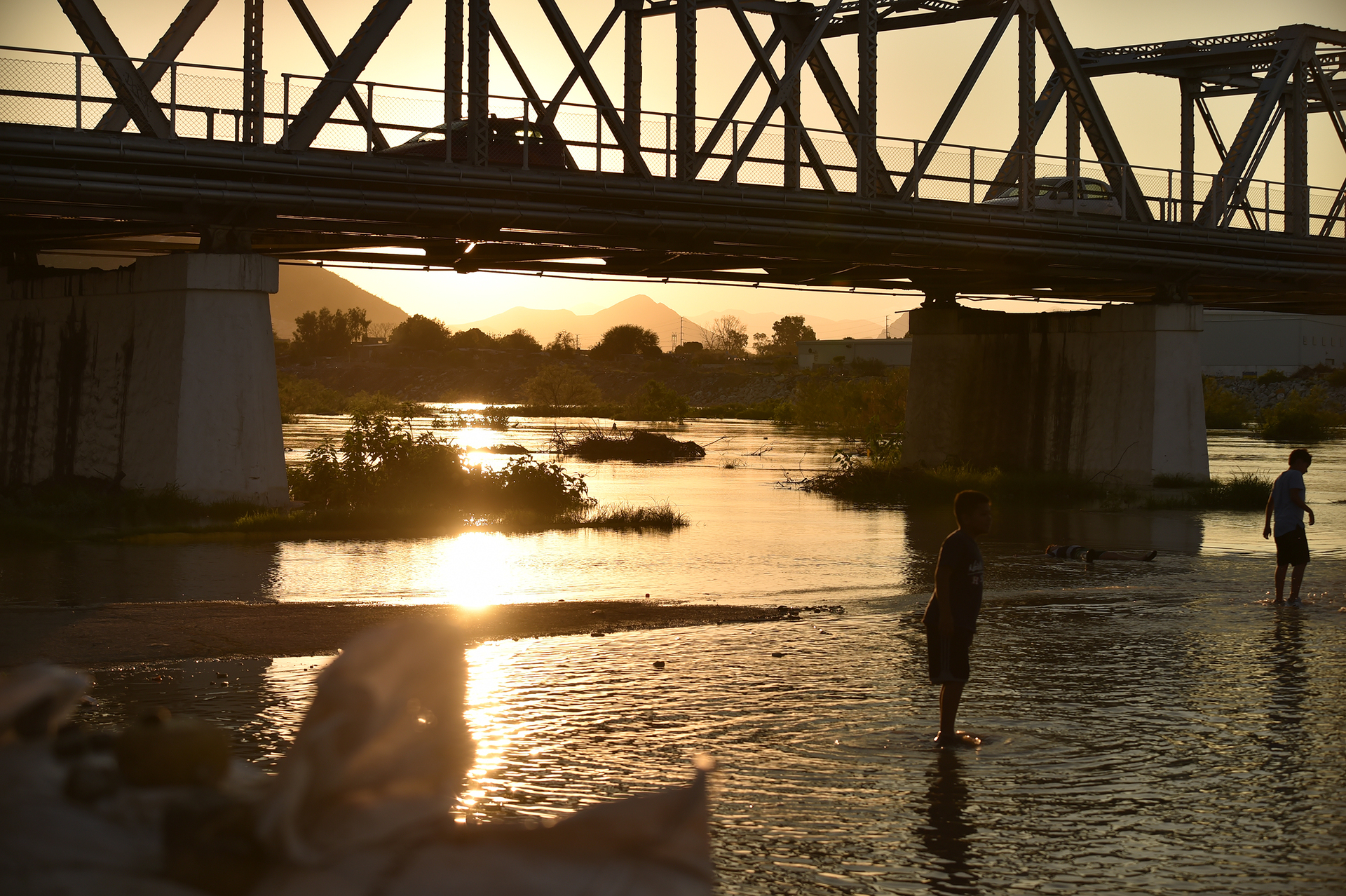 El Río Nazas destaca por su biodiversidad en el Home River Bioblitz