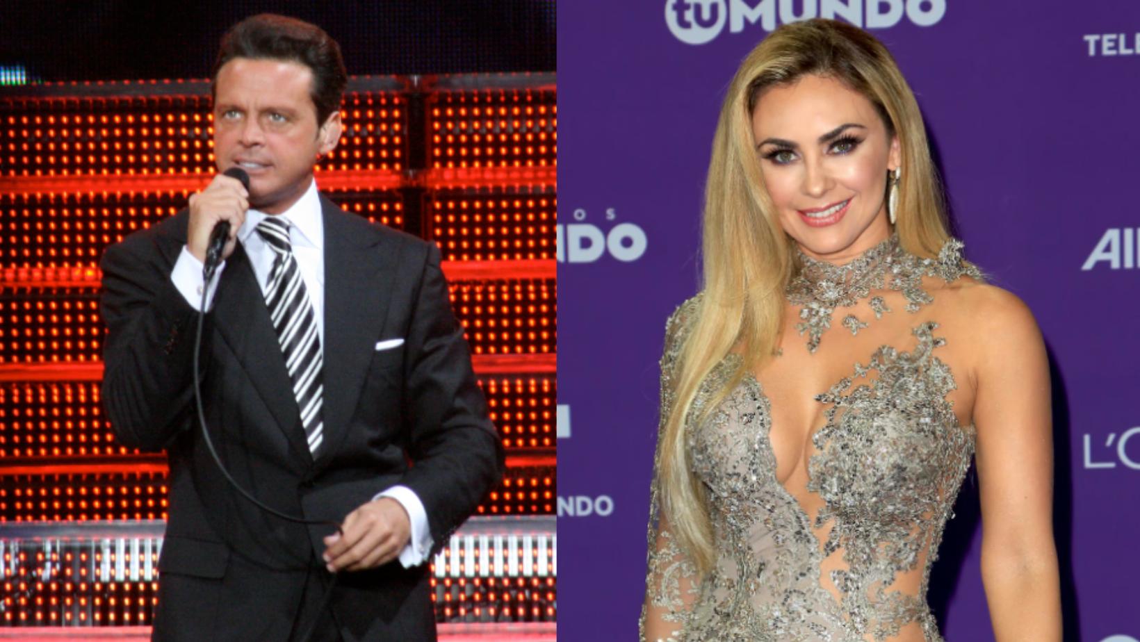 Aracely Arámbula Habla Sobre Su Situación Legal Con Luis Miguel El