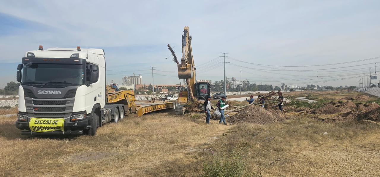 Concluyen rescate de árboles del Metro Parque Nazas