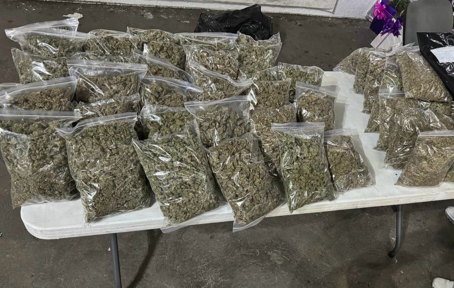 Aseguran 20 kilos de marihuana en Saltillo
