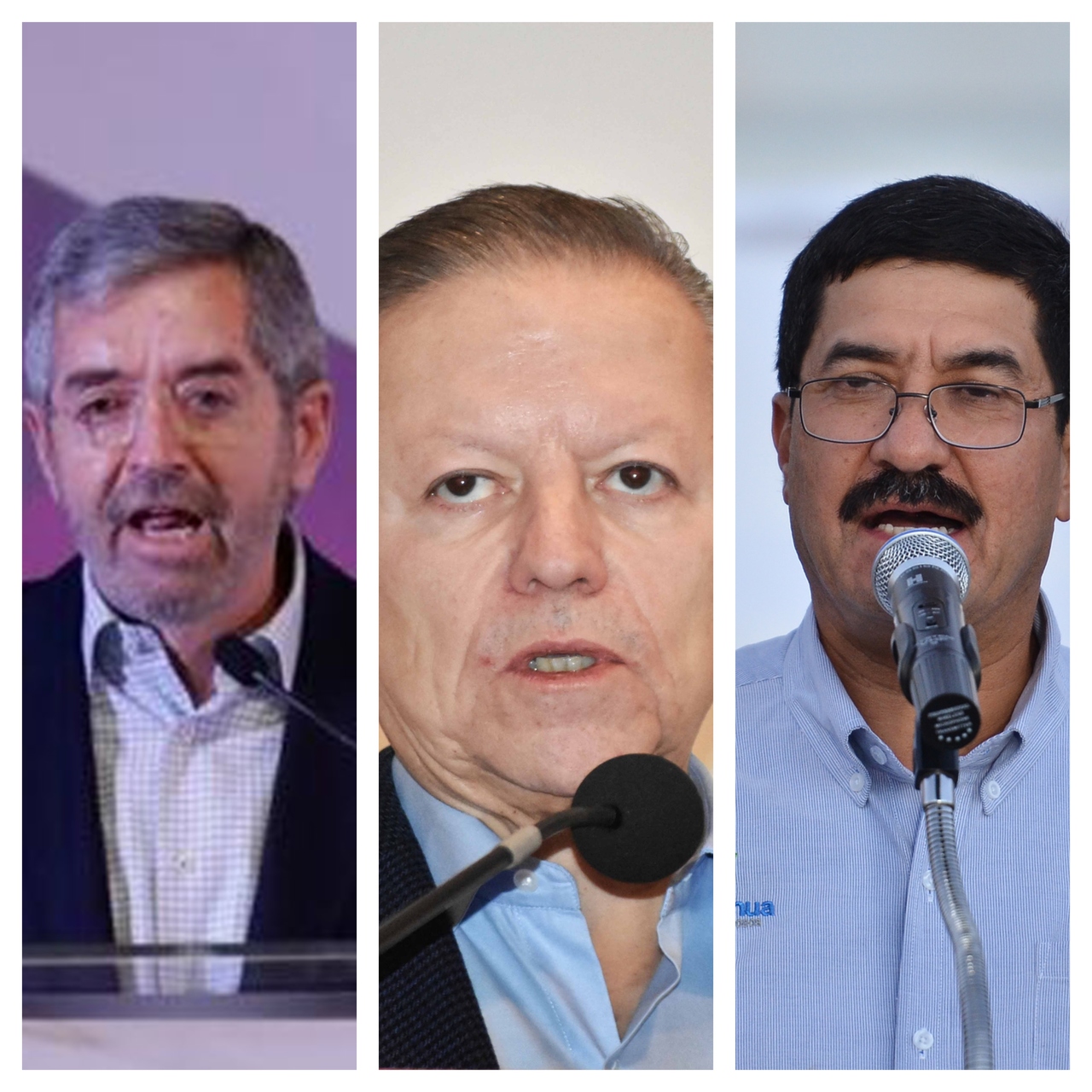 Distintos perfiles apoyan a candidata